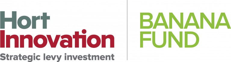 Banana rust thrips – general information – Better Bananas