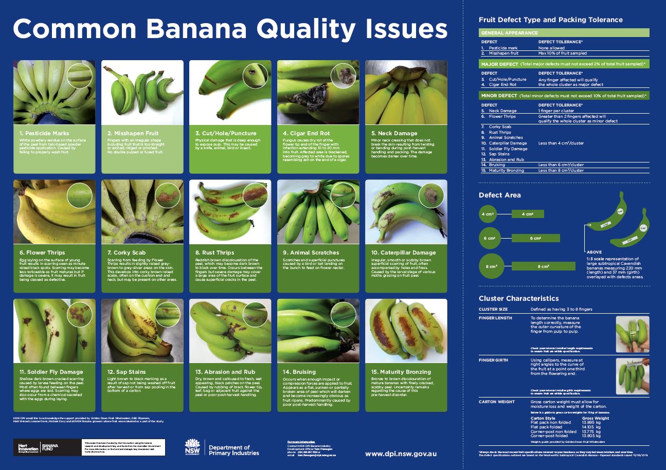 Subtropical banana reject analysis – Better Bananas