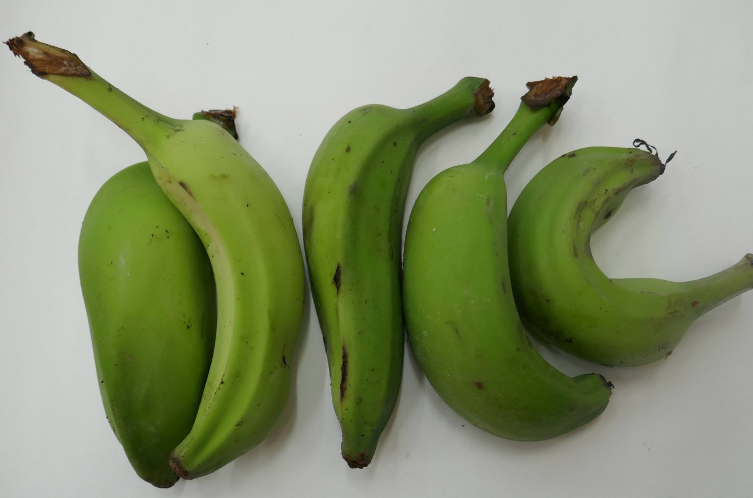 Subtropical banana reject analysis – Better Bananas