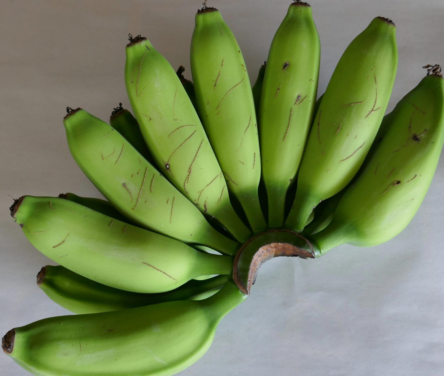 Results for Lady Finger fruit rejects – Better Bananas