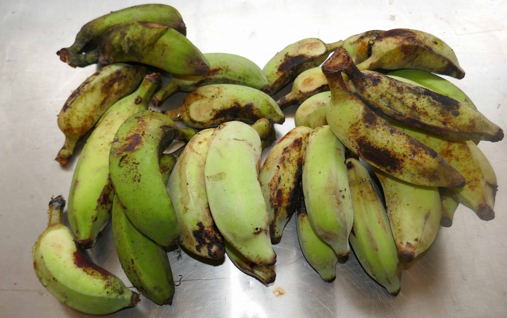 Banana Research – Better Bananas