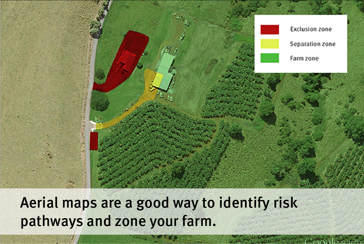 Zoning – grower practices – Better Bananas