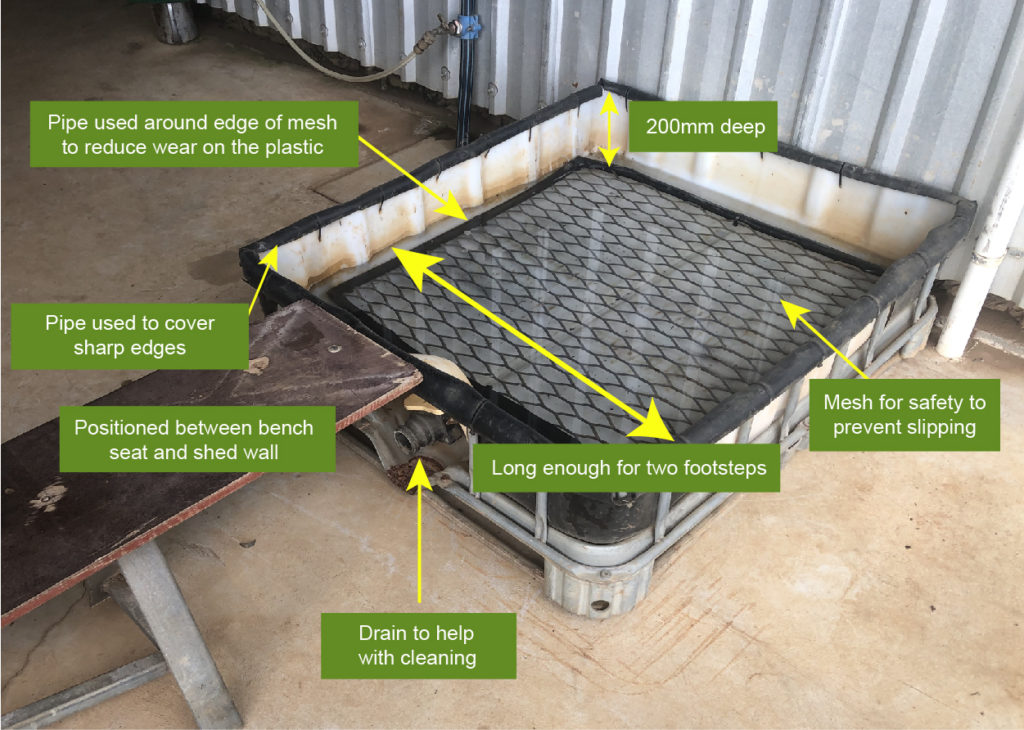 Grower case study Reinventing the pod into a footbath – Better Bananas