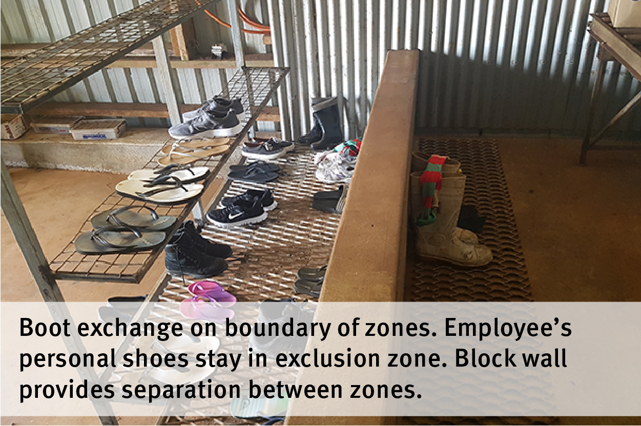 Footwear management – grower practices – Better Bananas