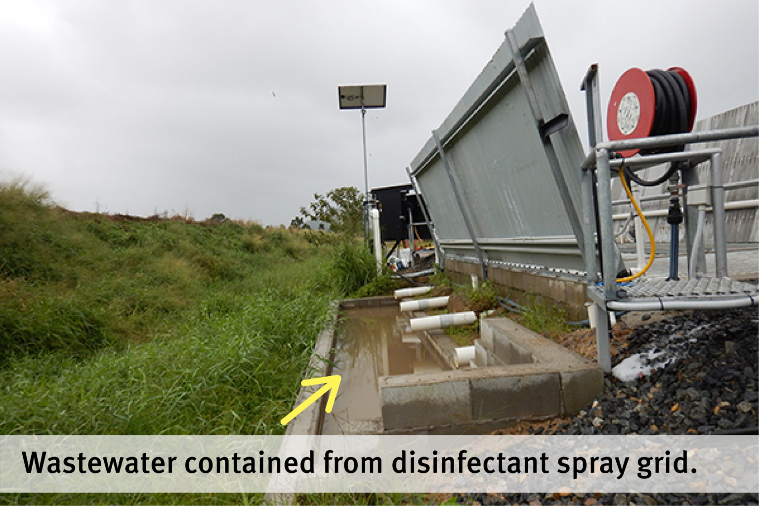 Disinfecting and wash-down facilities – grower practices – Better Bananas