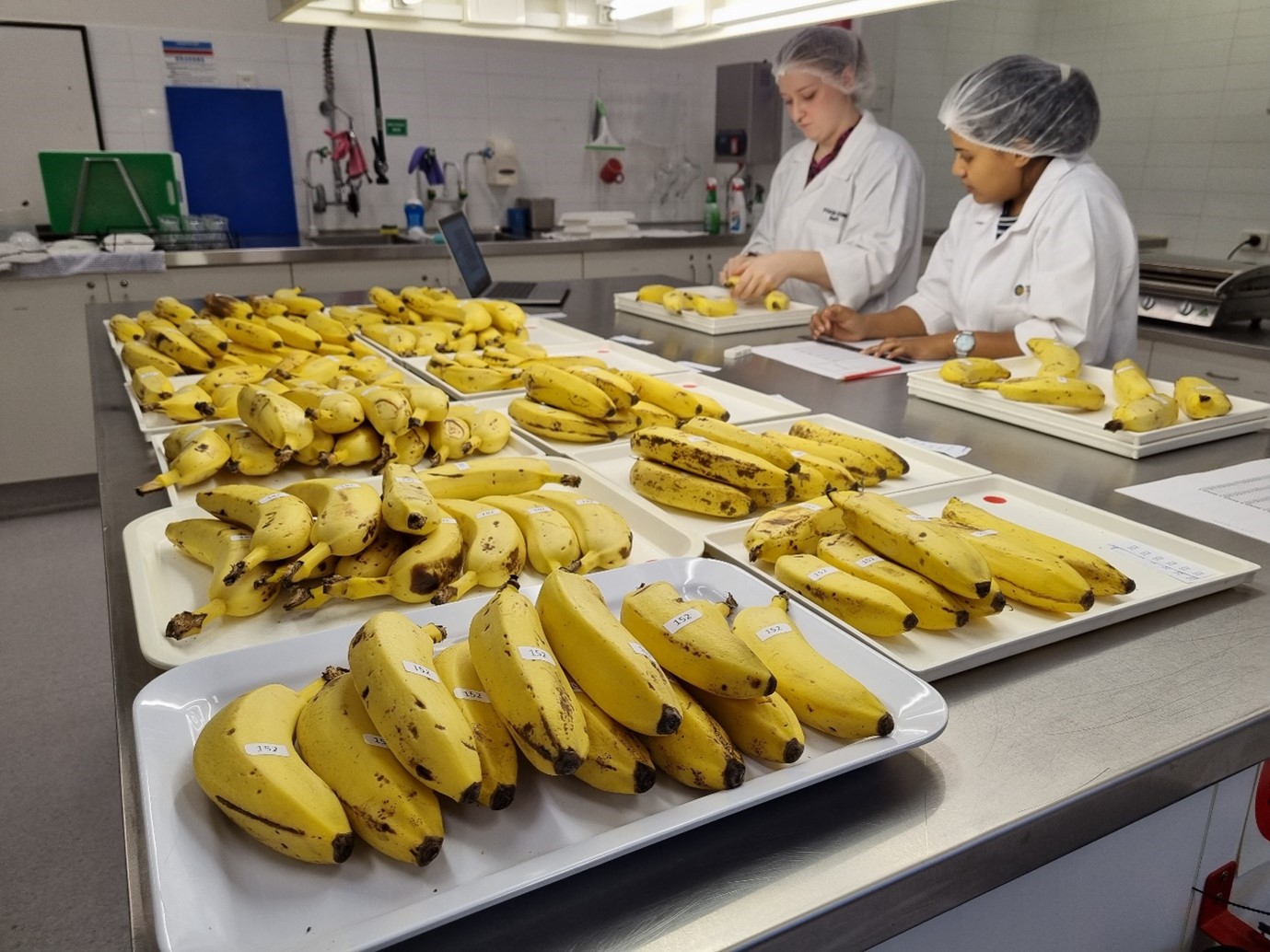 Goldfinger mutagensis trial—screening activities—Top 5 selections ...